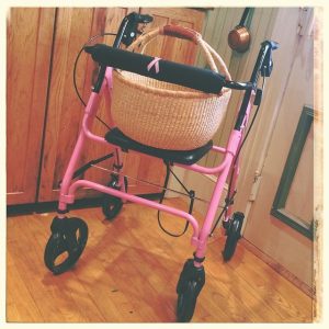 Guardian Walkers Website | Premium Walking Aids For Everyone